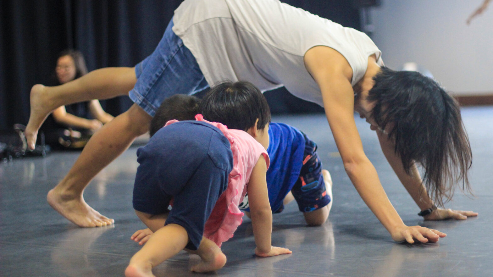 Classes – Rolypoly Family